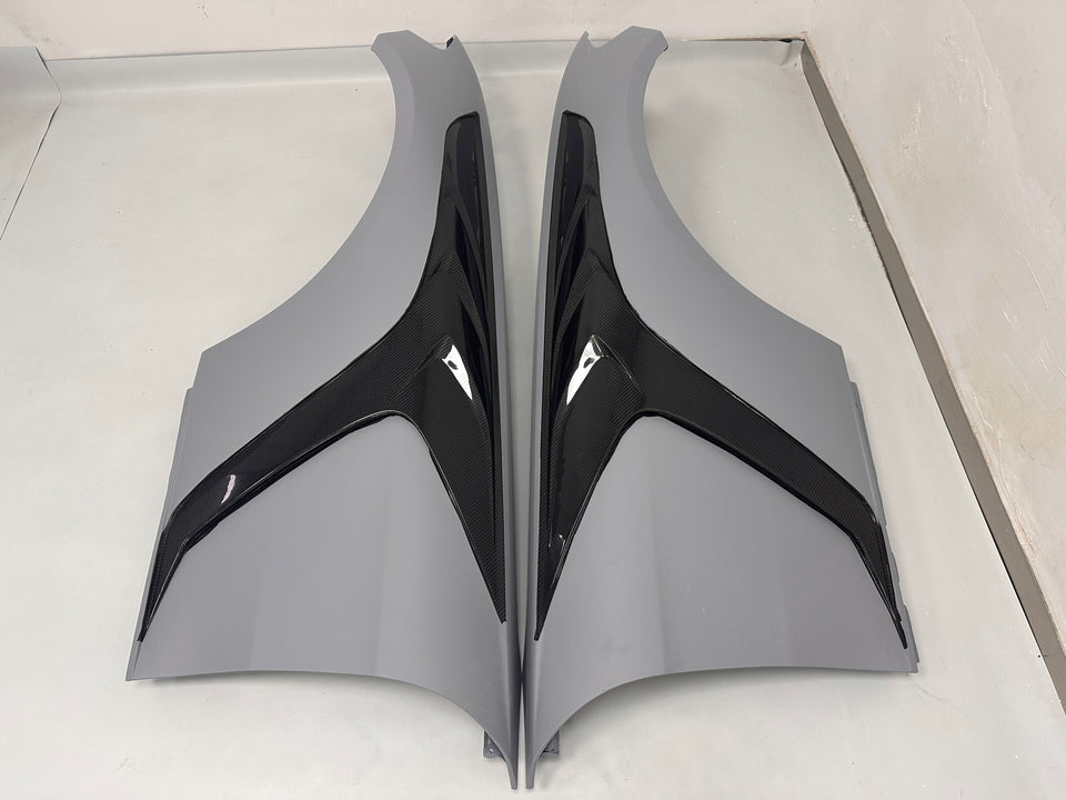 CARBON WIDE BODY KIT for MERCEDES BENZ AMG GT COUPE C190 2014 - 2021